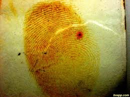 2011 CSI: fingerprinting results!