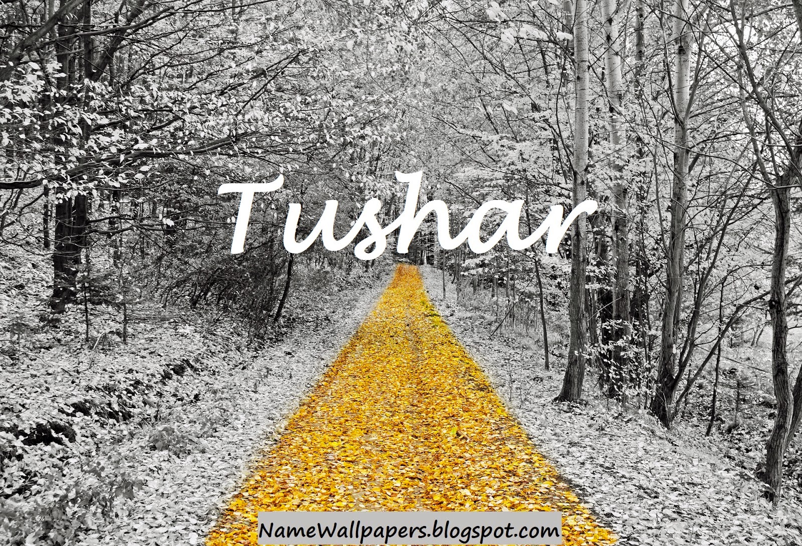 Tushar Name Wallpapers Tushar ~ Name Wallpaper Urdu Name Meaning Name ...