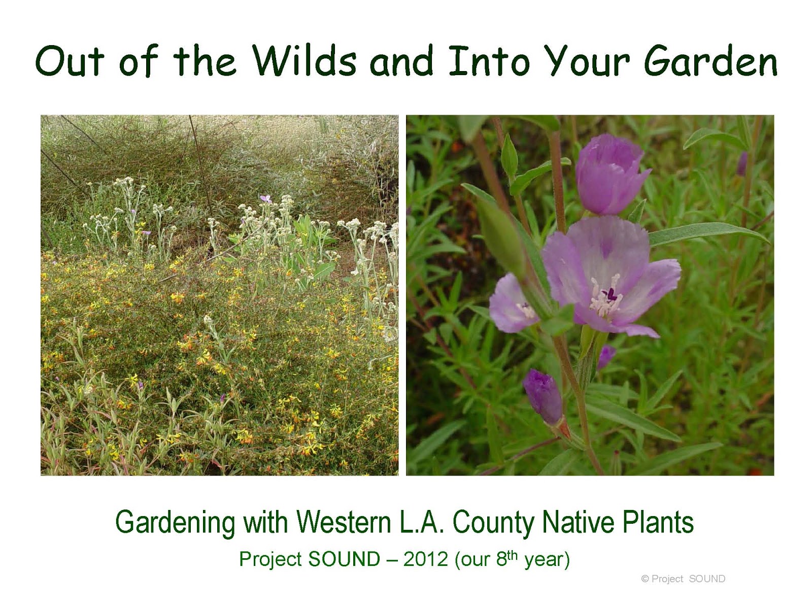 Mother Nature's Backyard - A Water-wise Garden: 'Out of the Wilds and ...
