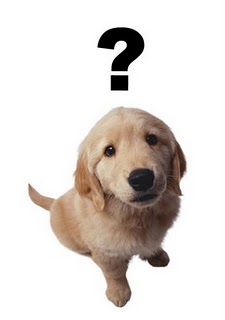 El blog de Paco zorracana: junio 2011