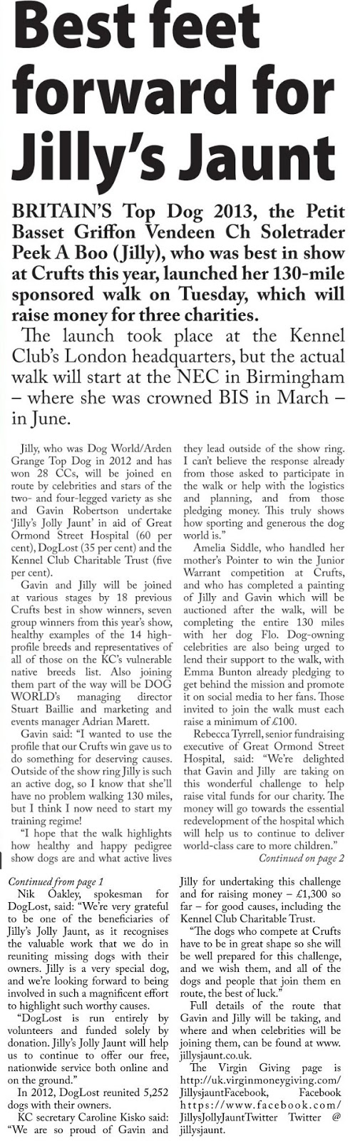 Pedigree Dogs Exposed - The Blog: Jilly's Jolly Fraud - an update