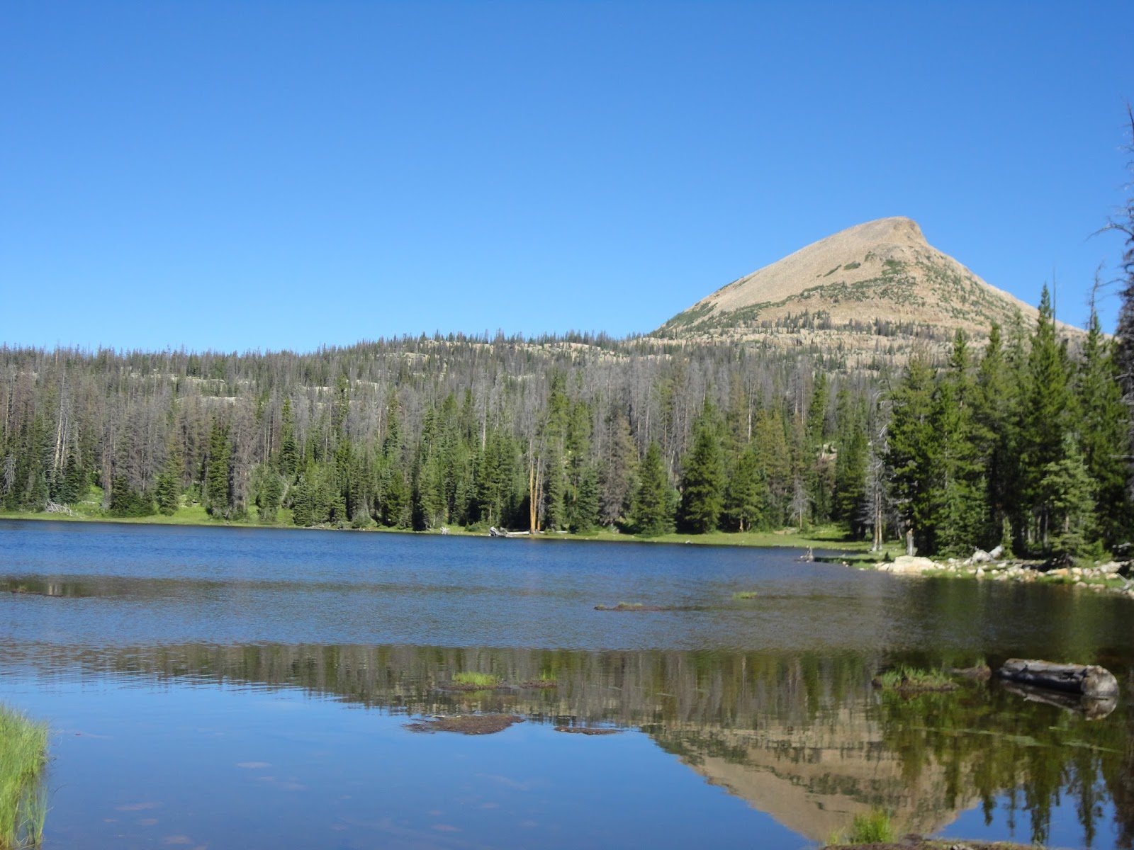 Ready to Retire - Really!: The Crystal Lake Trailhead