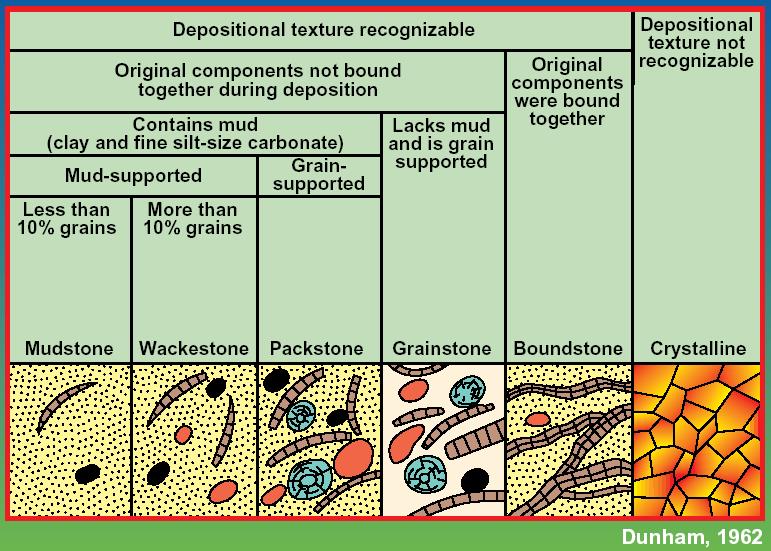 BATUAN SEDIMEN KARBONAT
