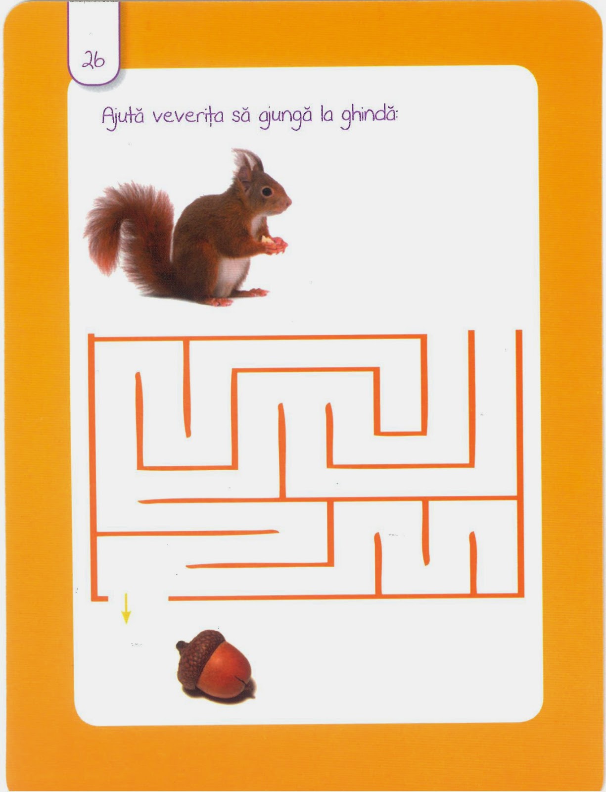 CLASA NOASTRĂ: GHICITORI MATEMATICE