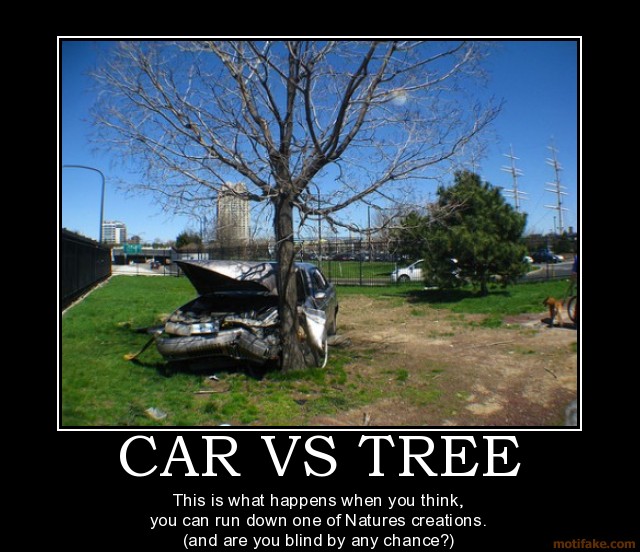 Man o' Law: Tree 1 Car 0