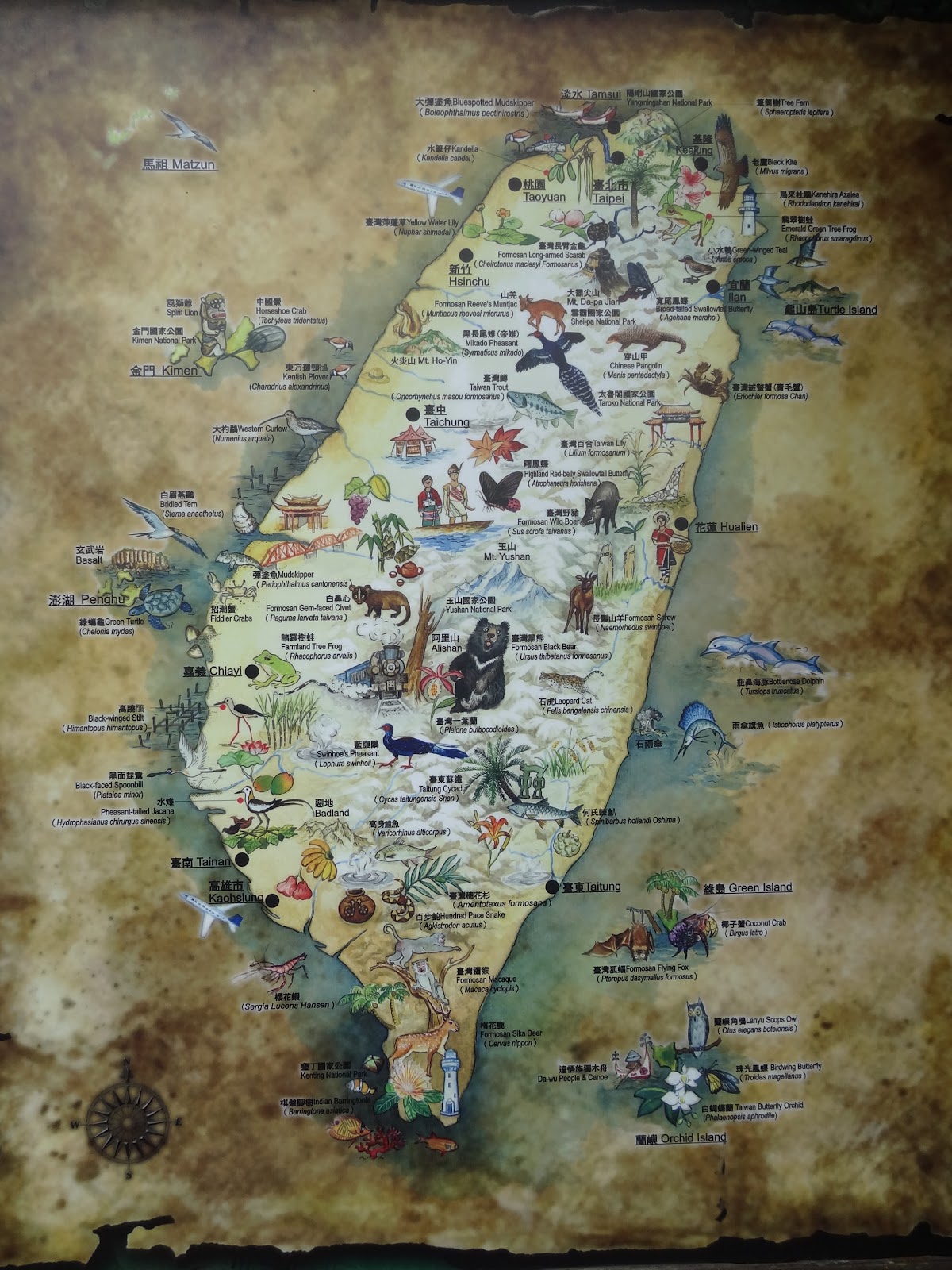 La vida en Taipei: De Isla Formosa a República de China