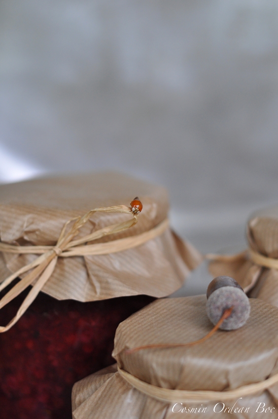 simplu si bun: Preiselbeere Konfitüre...sau gem de merisoare