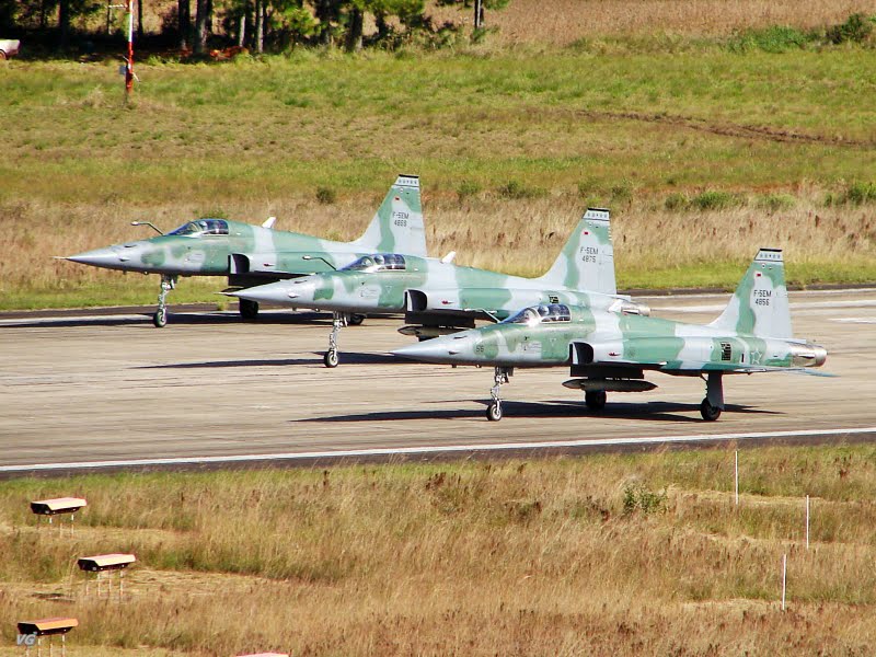 SkyHawk: F-5 Tiger da FAB