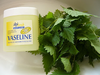 Bushmans Wild Hiking: dinsdag 10 april 2012