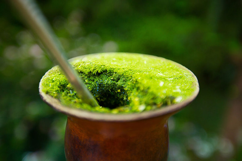 Cantinho Gaúcho: 10 benefícios do chimarrão para a saúde