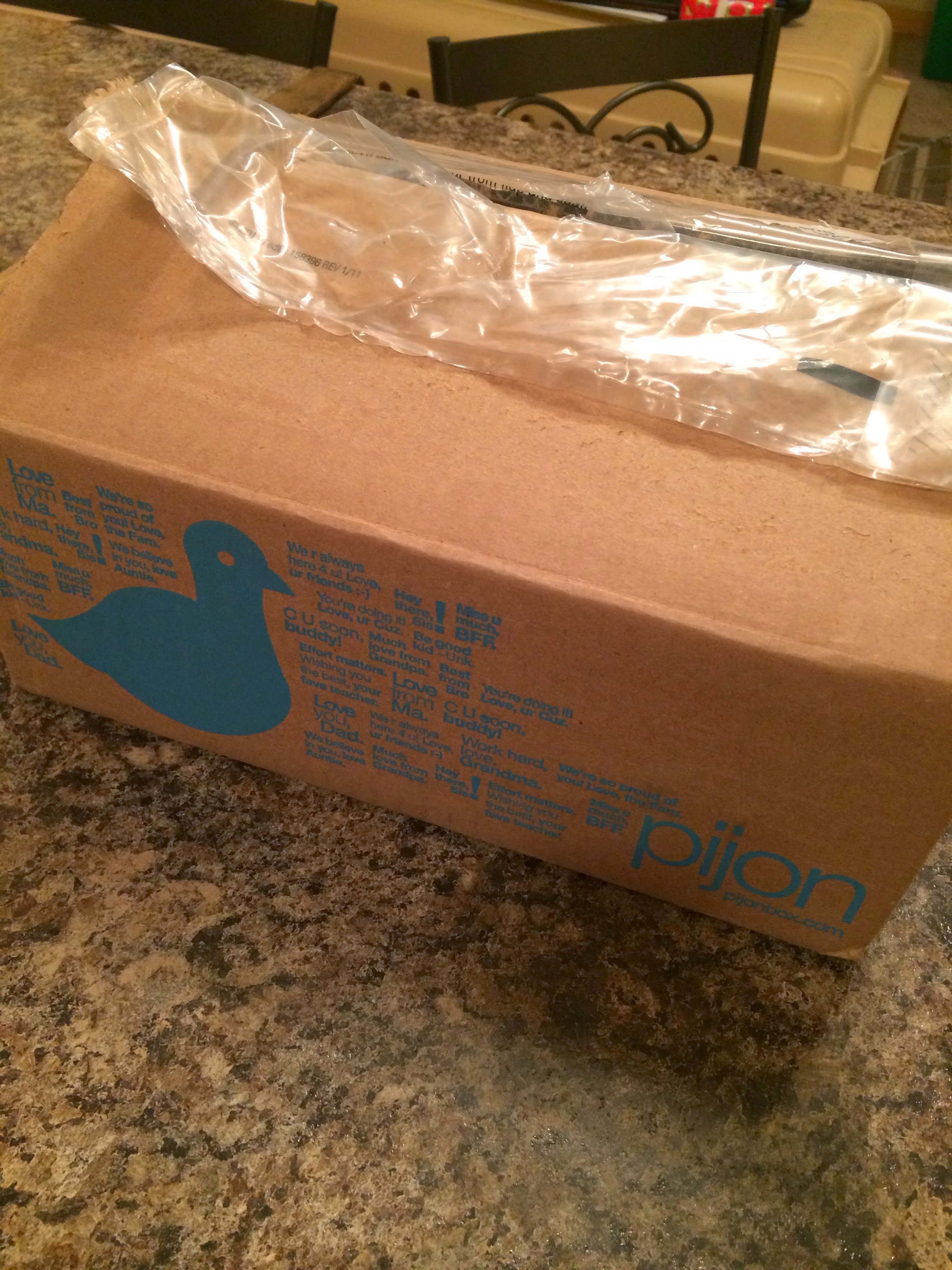 Pijon Box March 2014 Review