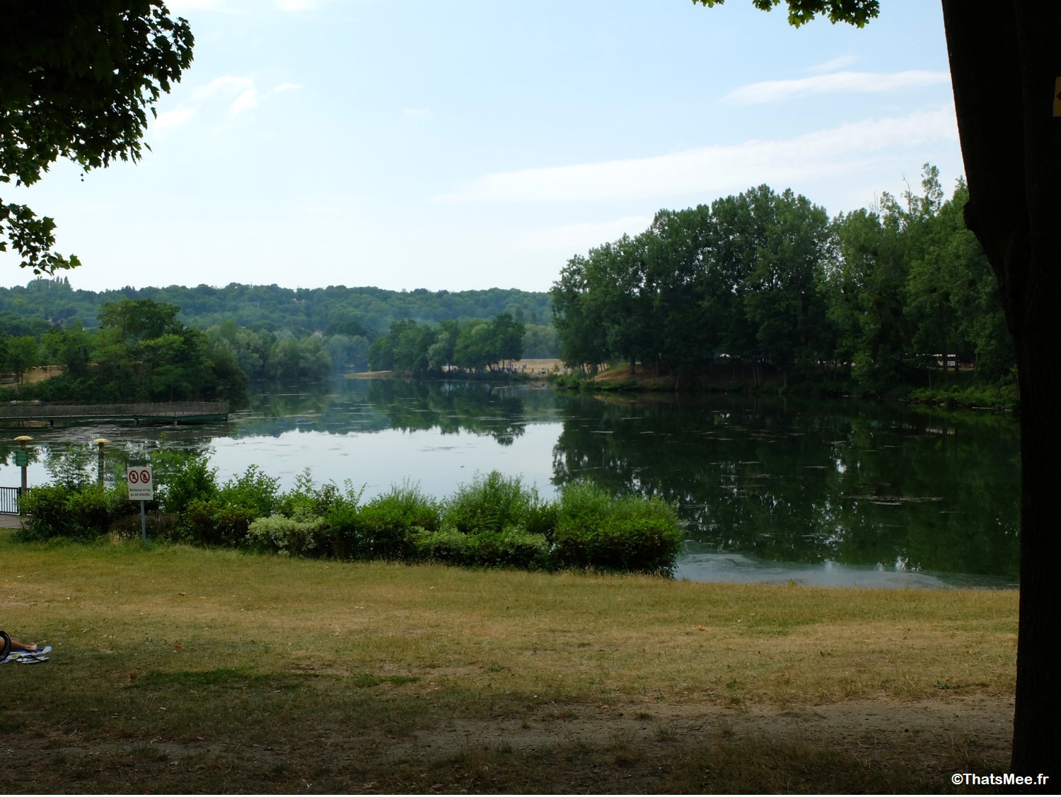 Diary de Fleur: J'AI (ENFIN) TESTÉ L'ACCROBRANCHE...