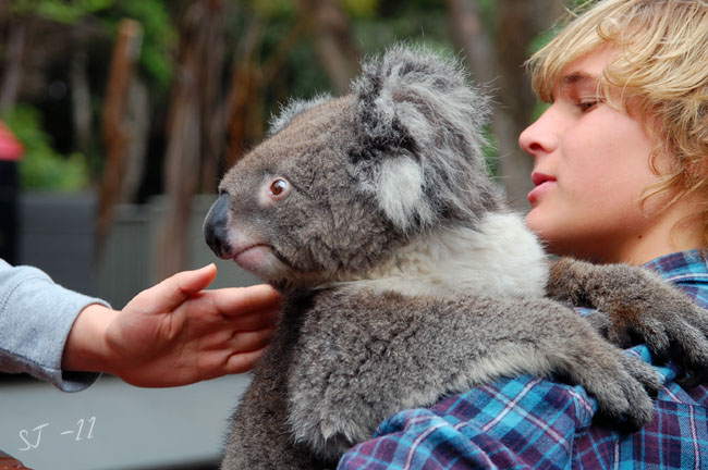 AyersRockBlog: Ahdistus kourallisessa tomua