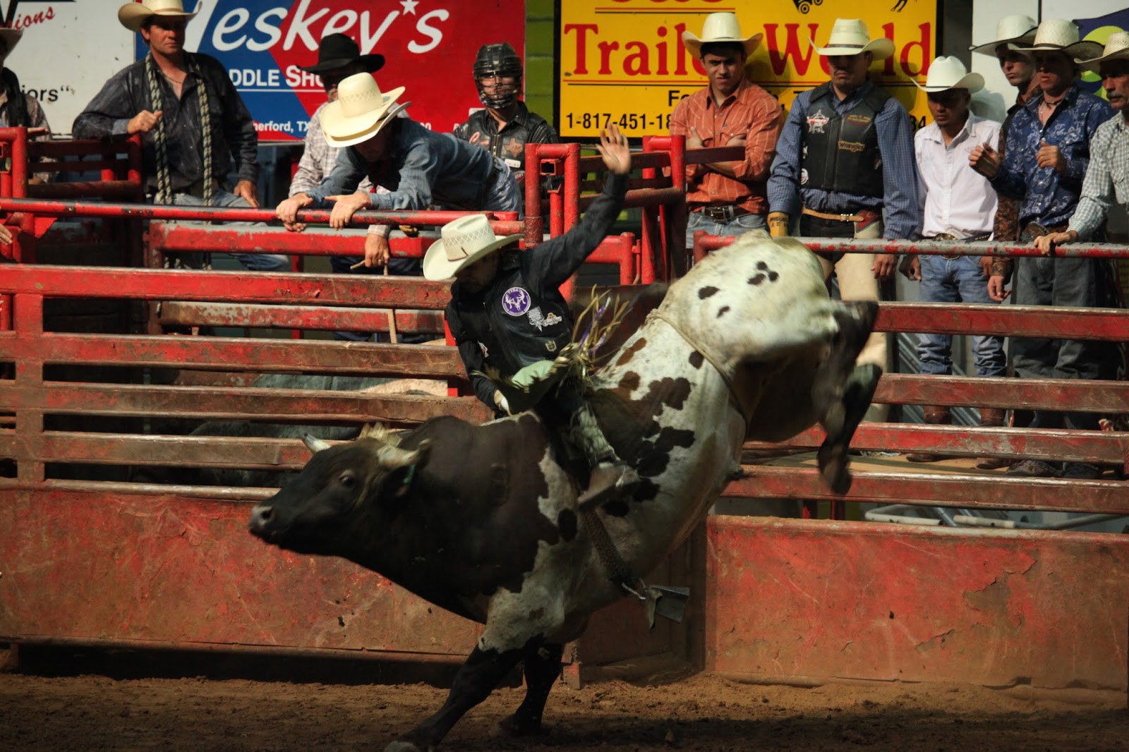 2016 ~ RODEO AMERICANO