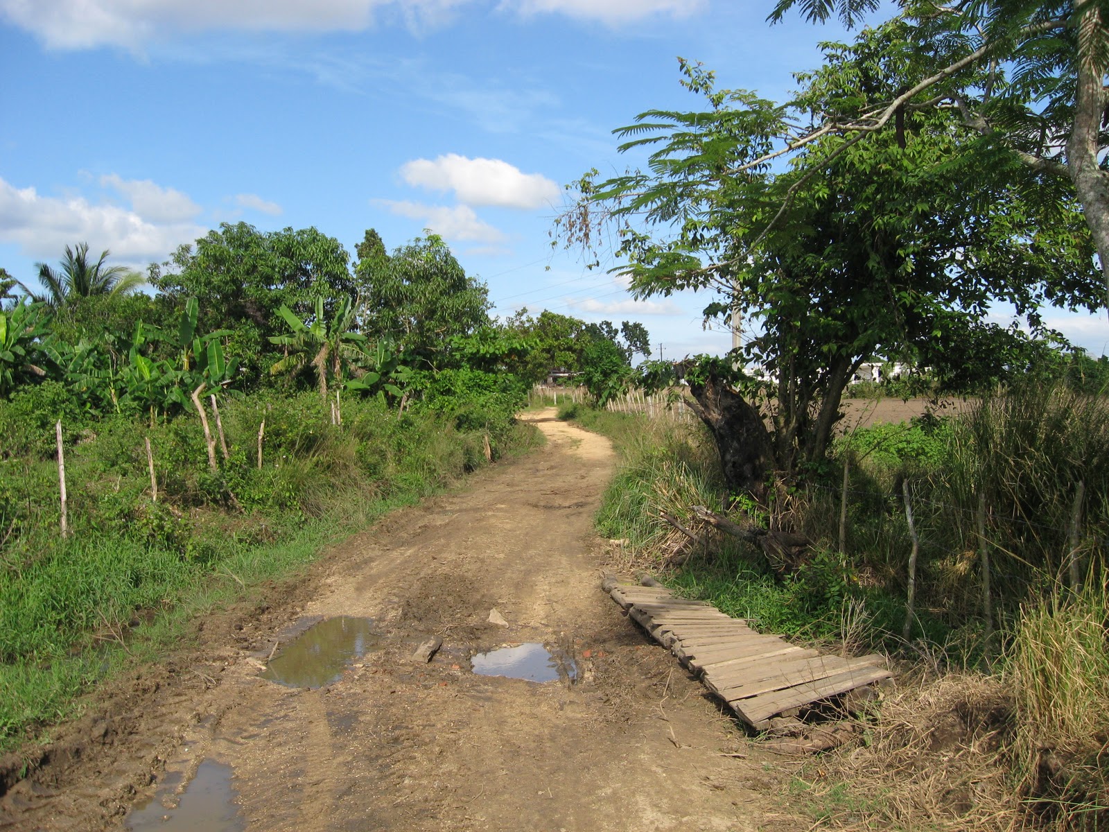 Cuban Cigars, Culture & Lifestyle: Finca Robaina
