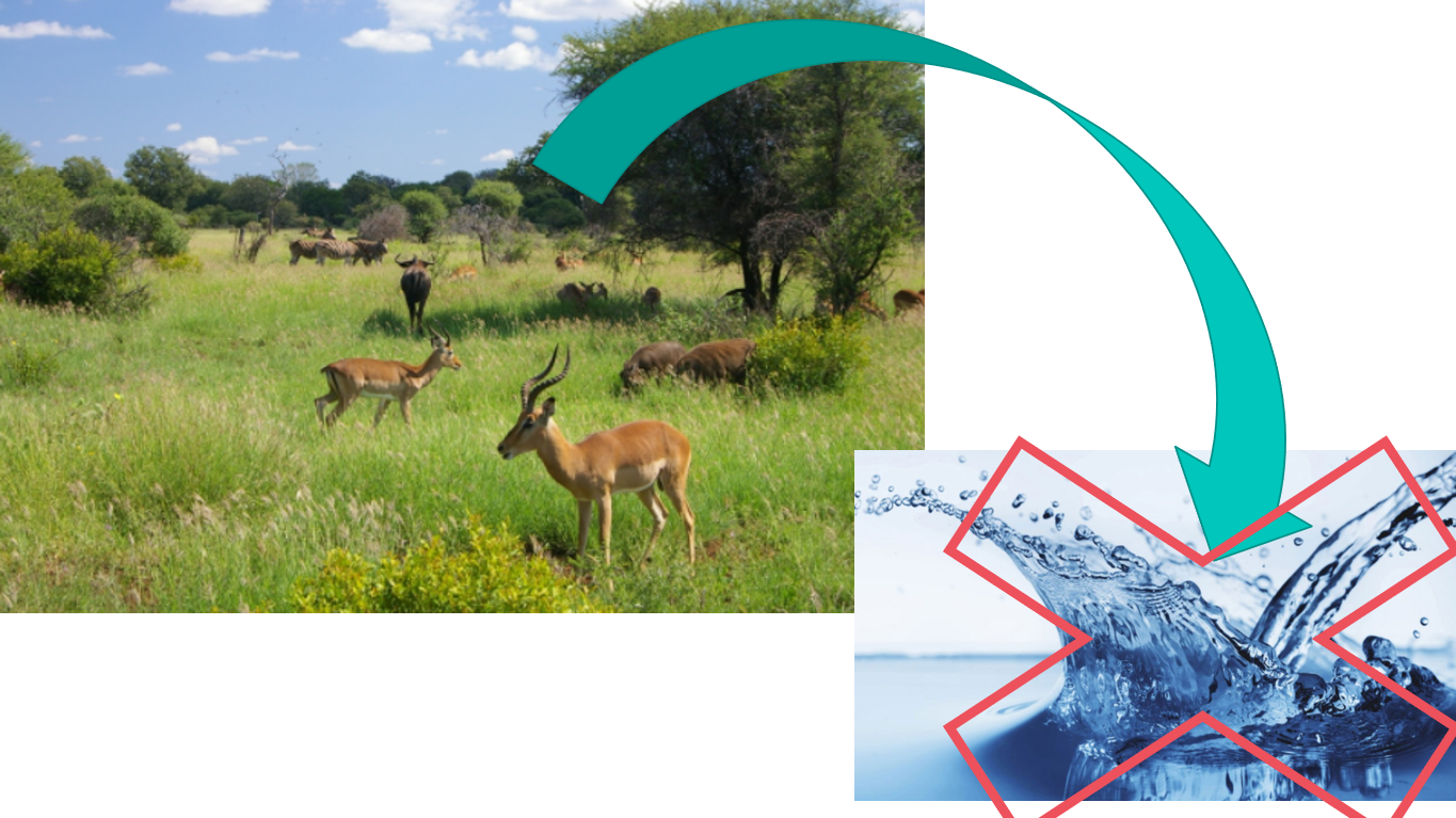 .: Unit 6 ECOSYSTEMS