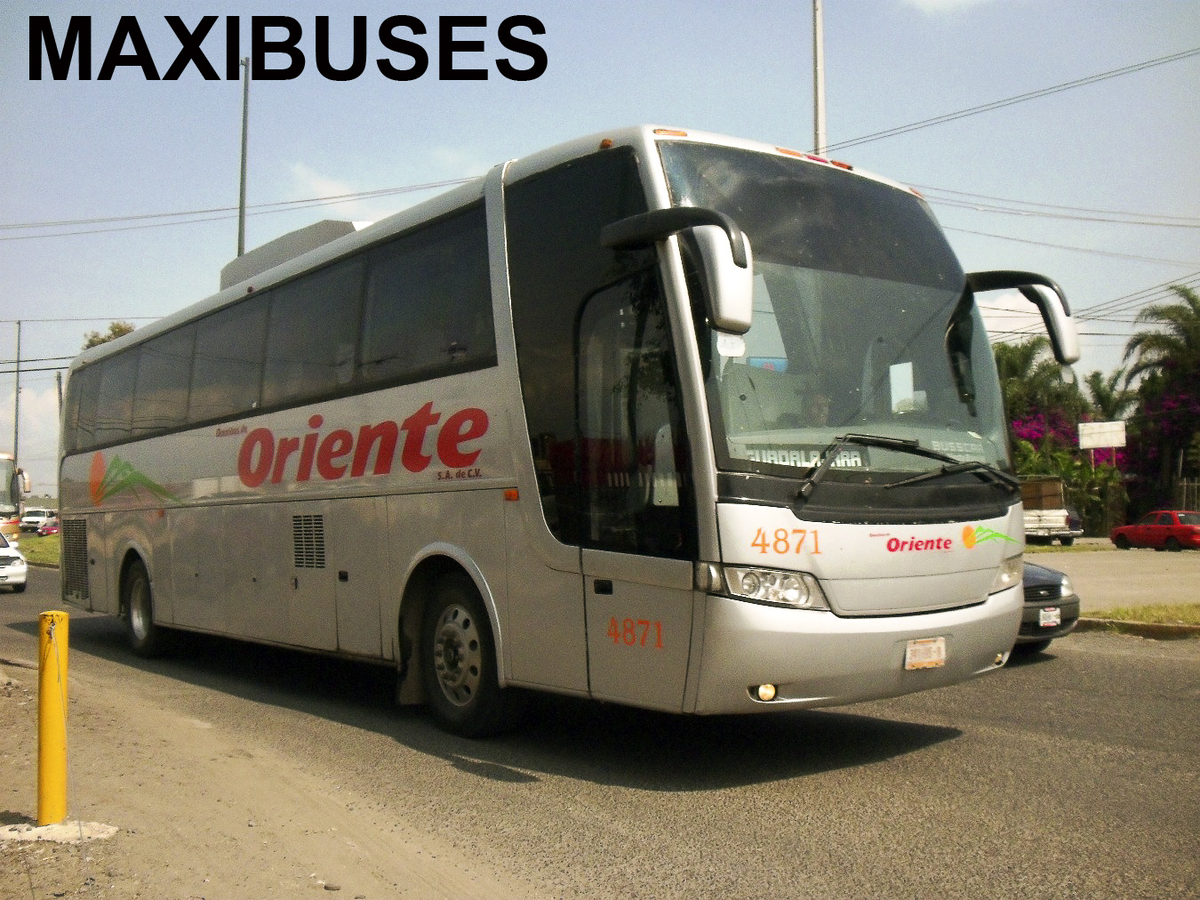 MAXIBUSES: OMNIBUS DE ORIENTE