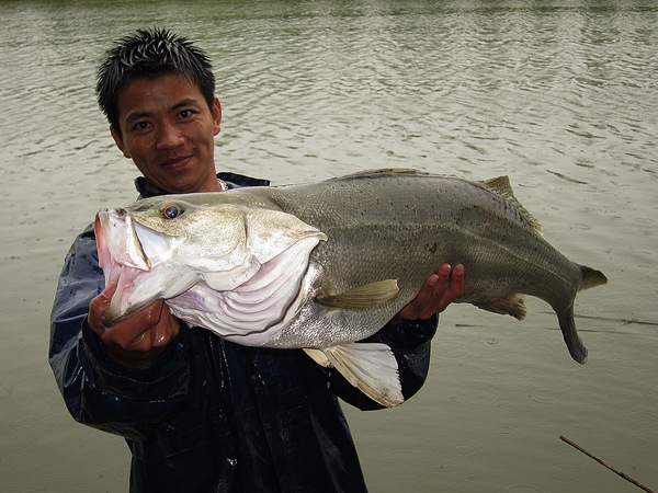 ANGLING WORLD 魔魚釣界: Monster Fish in China - Yellow Cheek!!