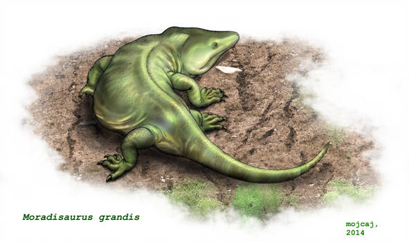 Paleontología y Evolución en la UCM: abril 2019