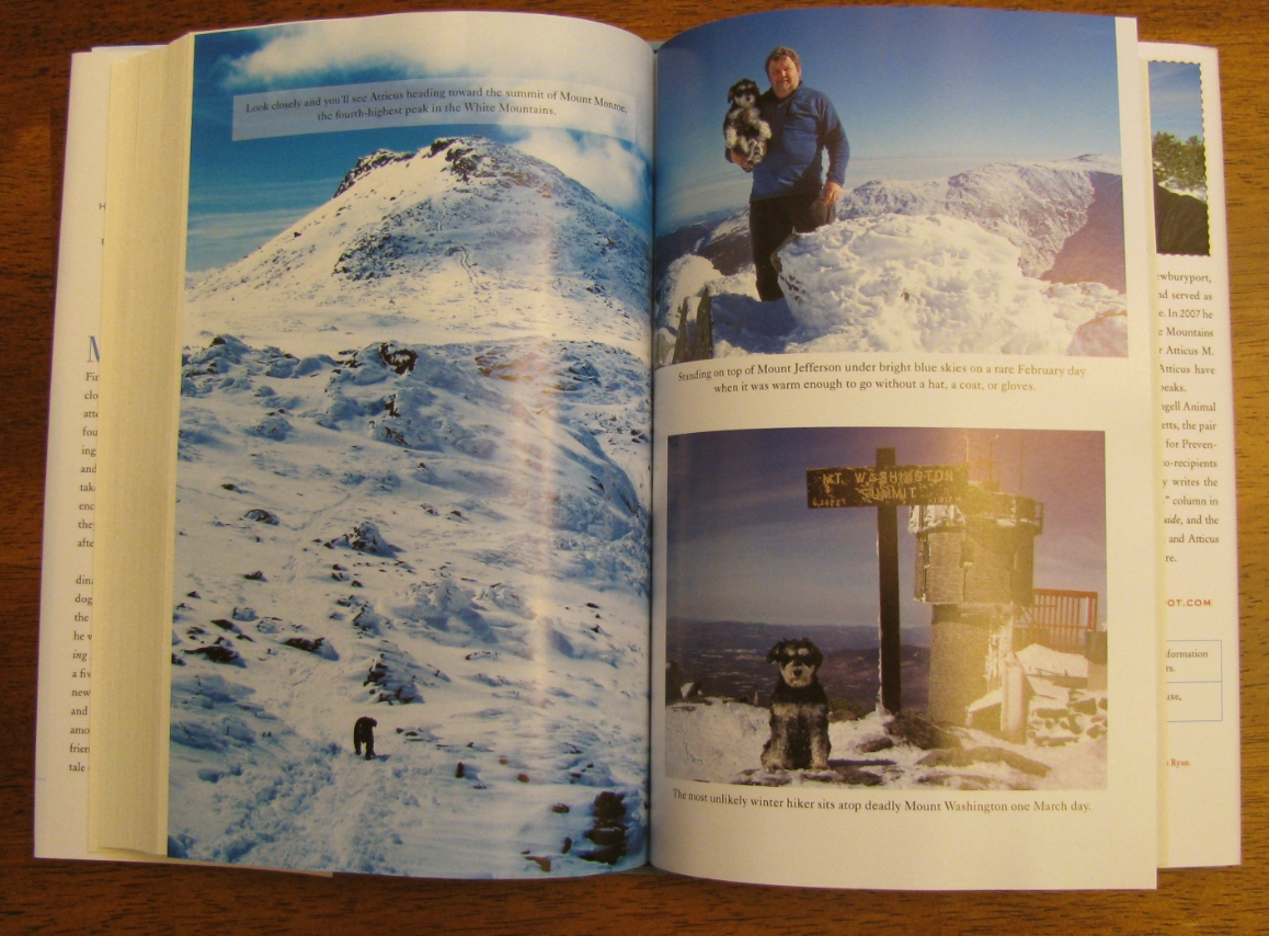 Tom Ryan's Following Atticus Book Signing Event at Newington's Barnes ...