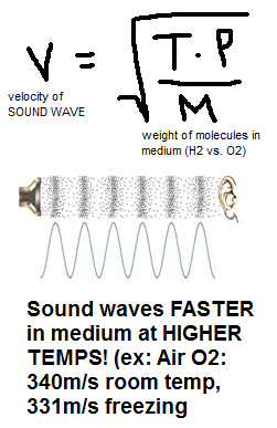 The Medical Cat: Sound Waves