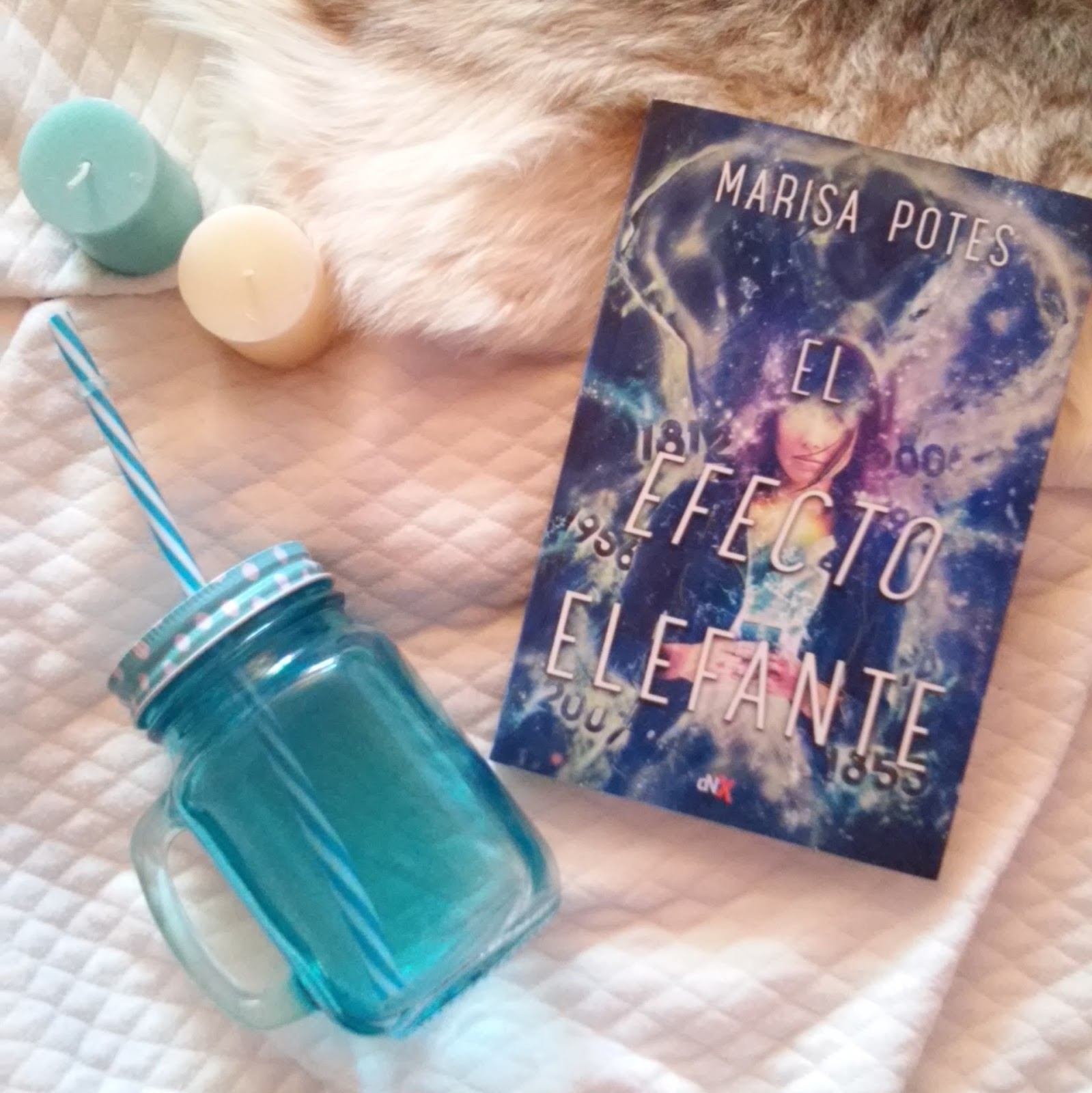 Mi lugar entre las páginas: El efecto elefante - Marisa Potes