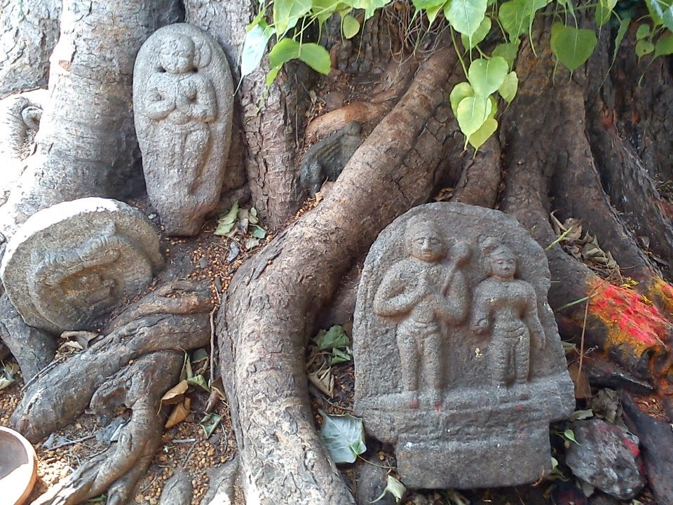 Mana Nayudupeta: Raavi chettu, vepa chettu besides anjaneya swami ...