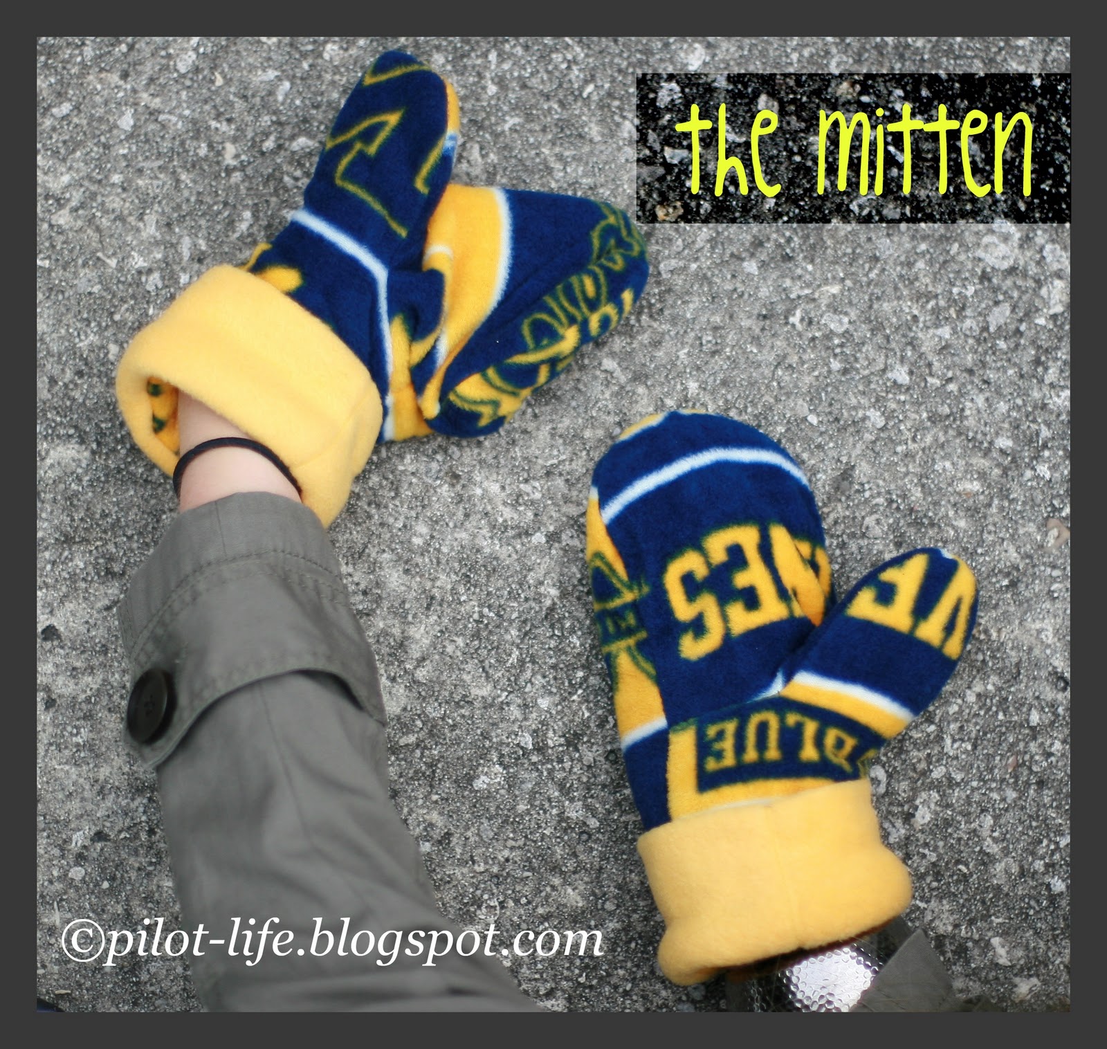 Piloting Life: I Grew Up in The Mitten