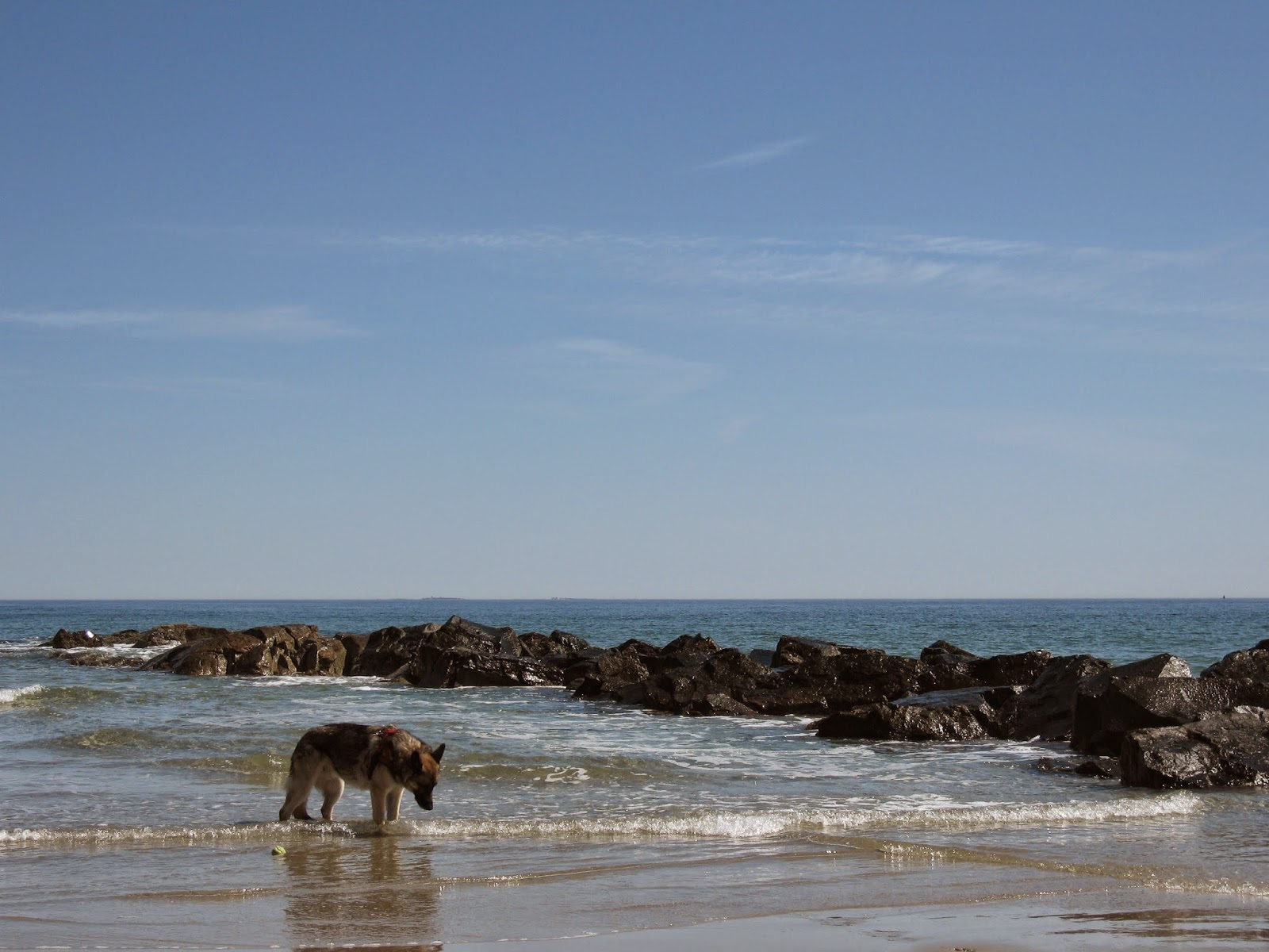 The Journey and Adventures of Nancy Moreau