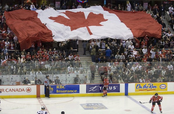 History Ink: A History of the Canadian Flag by Anna Markland