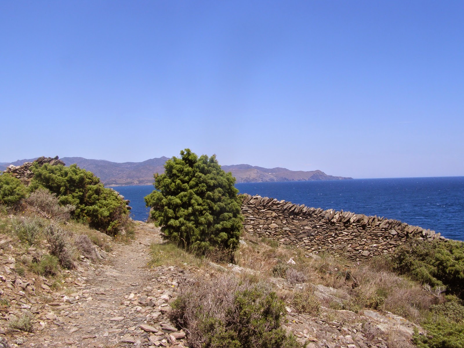 Senders i natura: 17-05-2014 Port de la Selva- Cala Tamariua - Cala ...