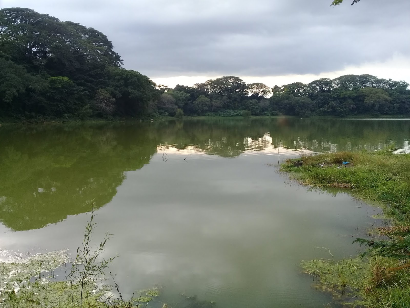 Michys Tours: Laguna de Chanmico