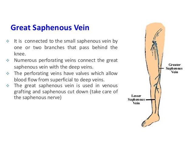 Worst Hand Forearm Injury Open fracture called Compound fracture ...