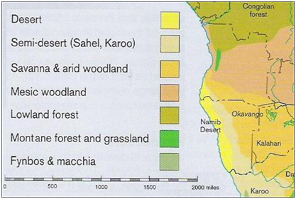 Kumbira Forest Project: Saving Angola's Endemic Birds: Scarp Forest