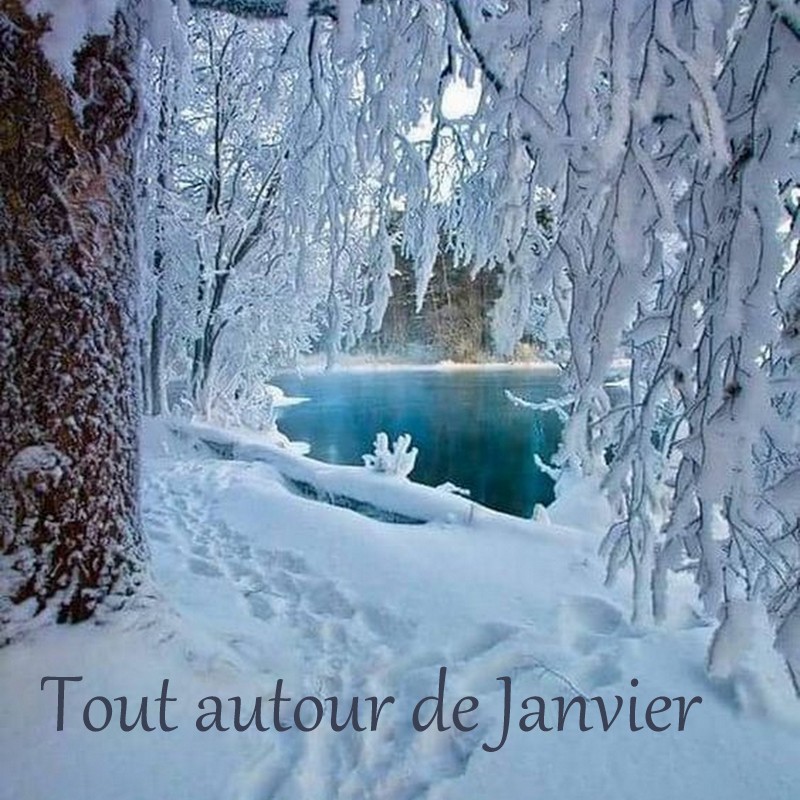 Tout autour de moi: Tout autour de Janvier