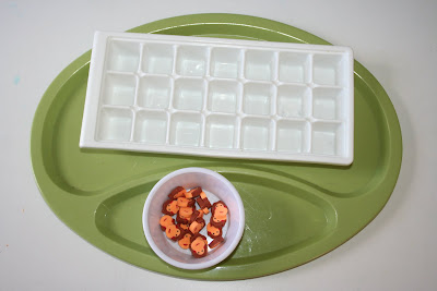 Our Country Road: Group Preschool-Spring Trays