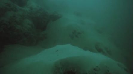 Video Menguak Misteri di Dasar Laut Mati | MASKOLIS