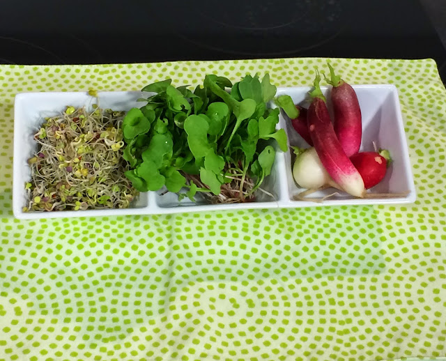 Blog Bites: The Totally Rad Radish