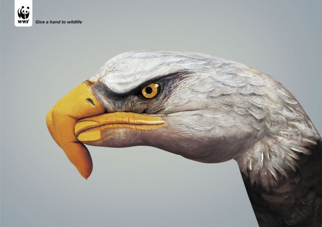 Mind Blowing Resources: 50 Mind Blowing, Creative & Potent Ads from the WWF
