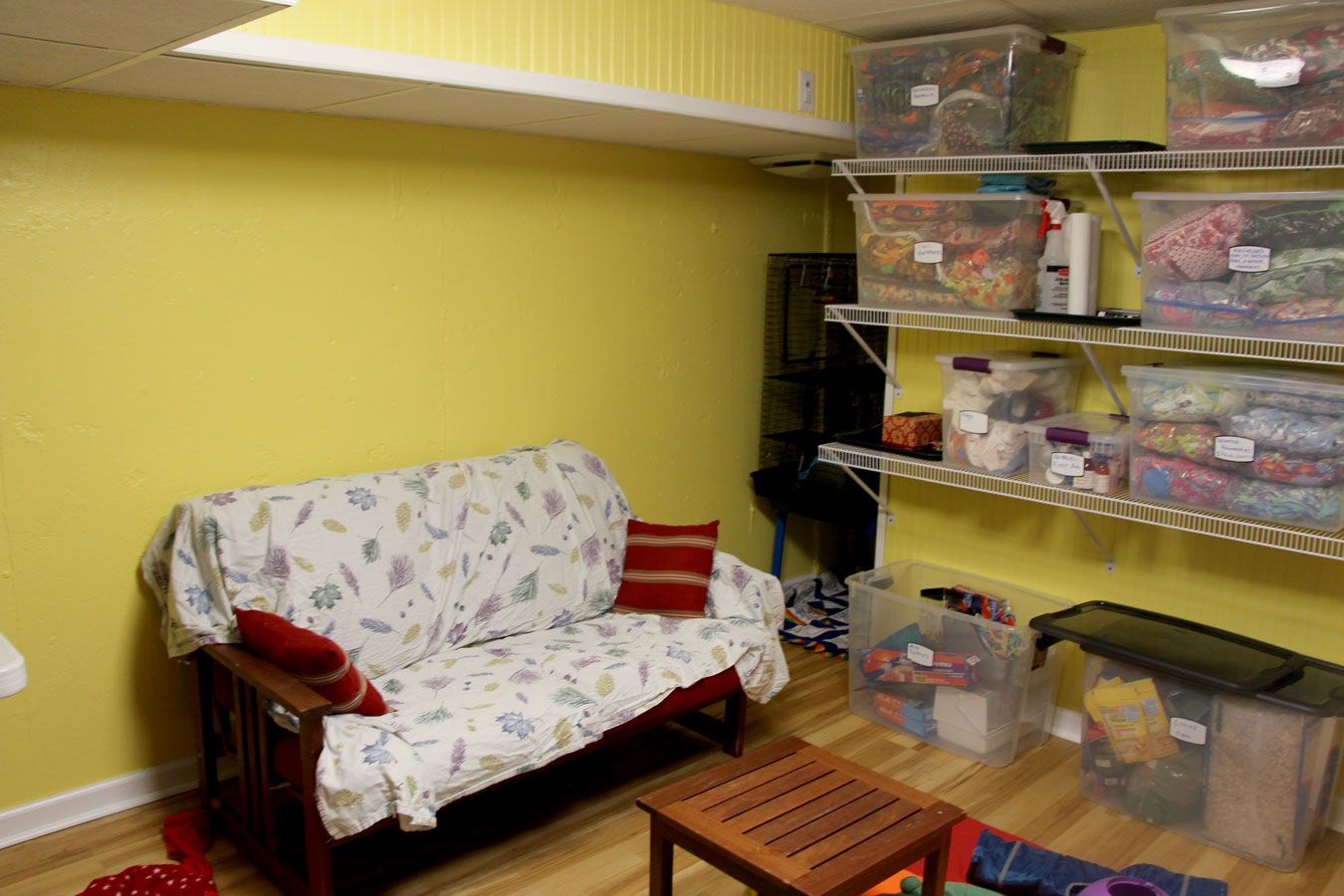 Ratropolis: The Rat Room Remodel