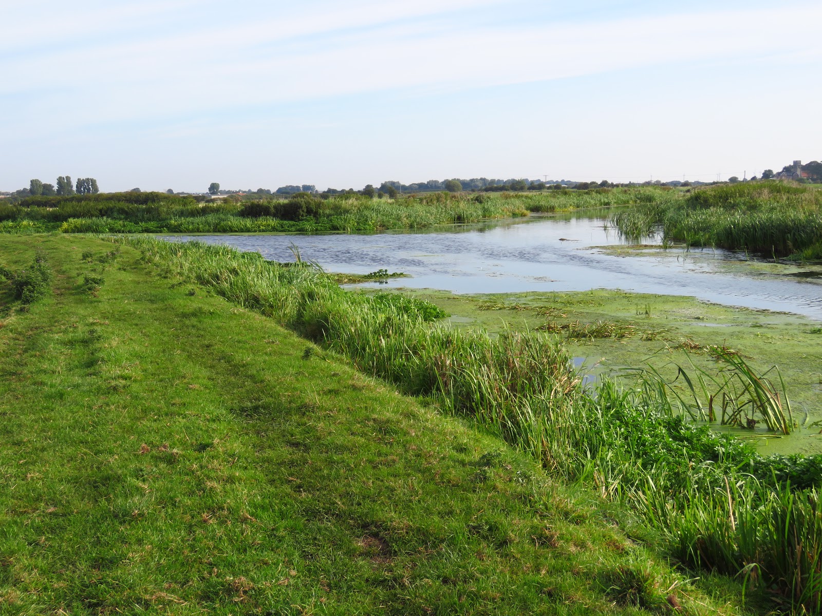 Wild at Hull: River Hull. Stage 13. Brigham and North Frodingham Beck