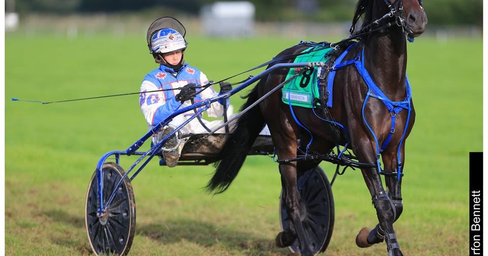 Harness Racing in the UK: An interview with...William Greenhorn