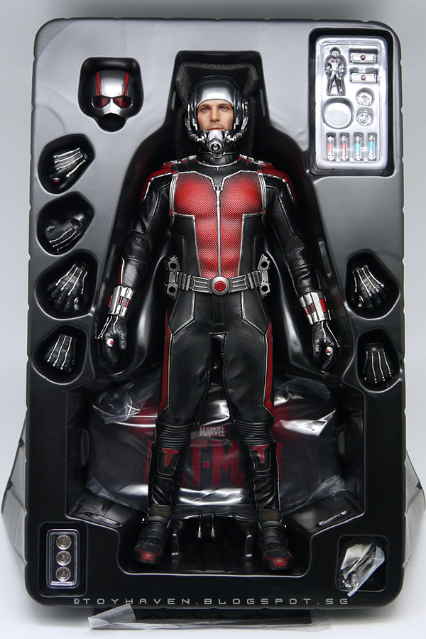 toyhaven: Hot Toys MMS308 1/6th scale Ant-Man 12-inch Collectible ...