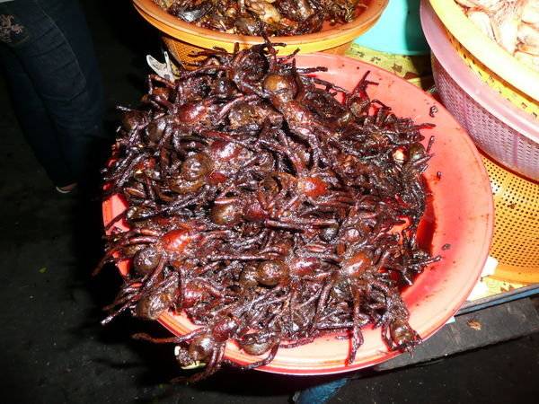 Labah-Labah Tarantula Merupakan Makanan Kegemaran di Kemboja