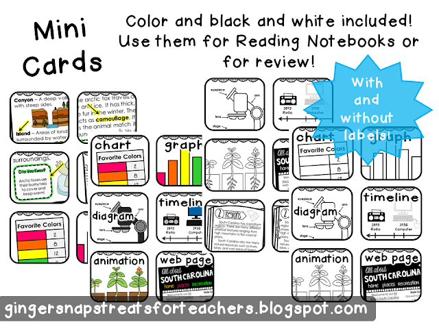 Ginger Snaps: Text Feature Poster Pack {Common Core Aligned}