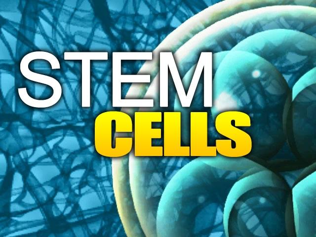 Menyanggah Mitos Menyerlah Kebenaran: STEM CELLS (SEL-SEL STEM): MITOS ...