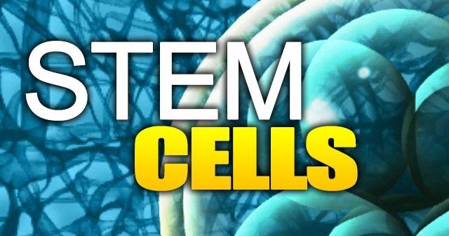 Menyanggah Mitos Menyerlah Kebenaran: STEM CELLS (SEL-SEL STEM): MITOS ...