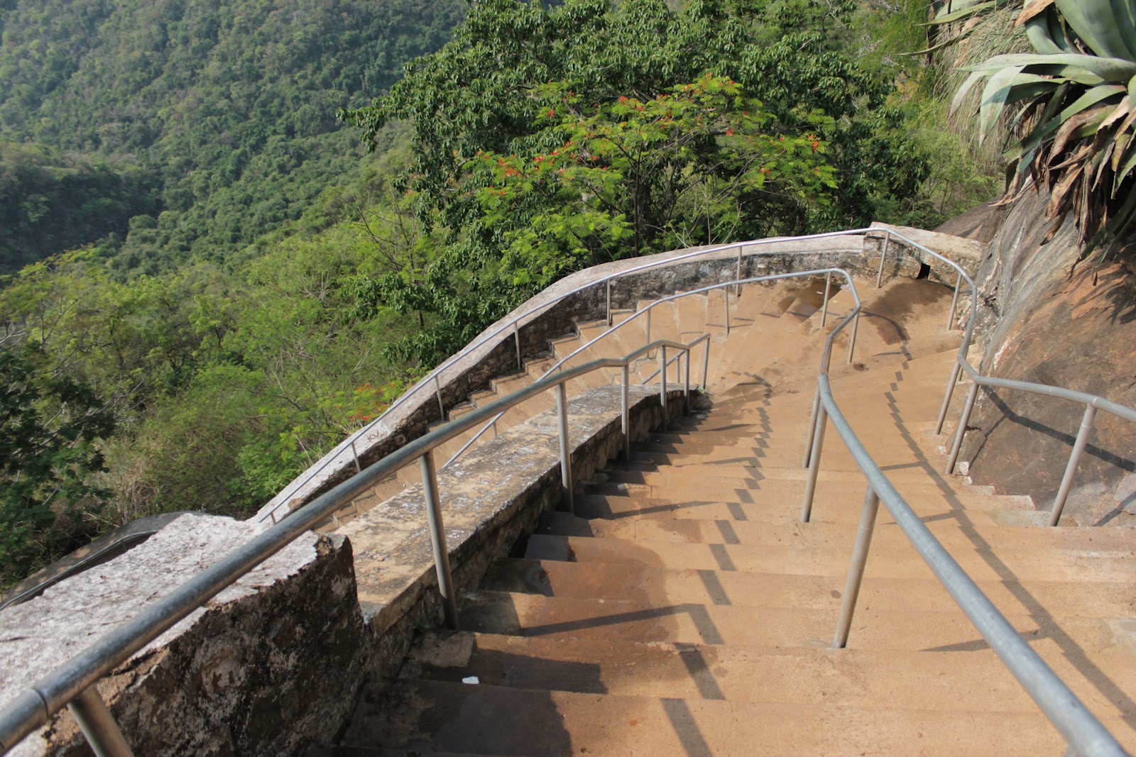 Trekking: Kollimalai, Namakkal District