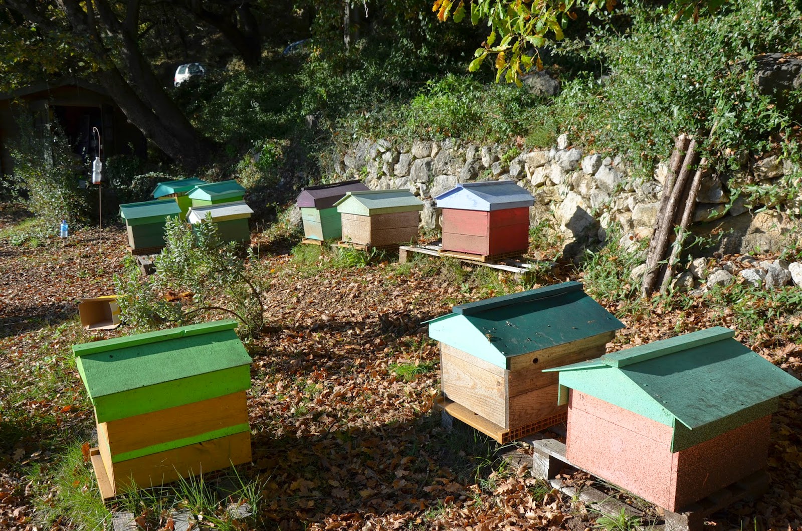 L'Association MAIA : Préparation, saison apicole 2015