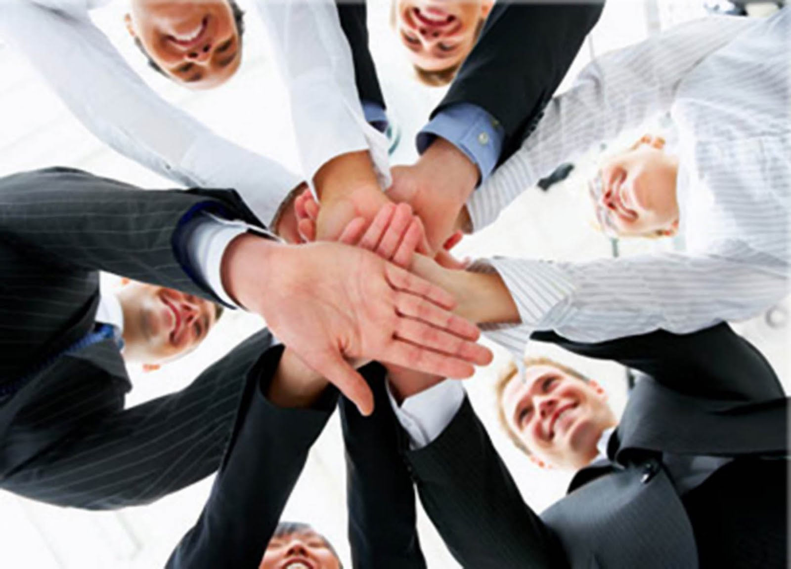 Valores; los pilares de tu empresa familiar Por José Mario Rizo Rivas